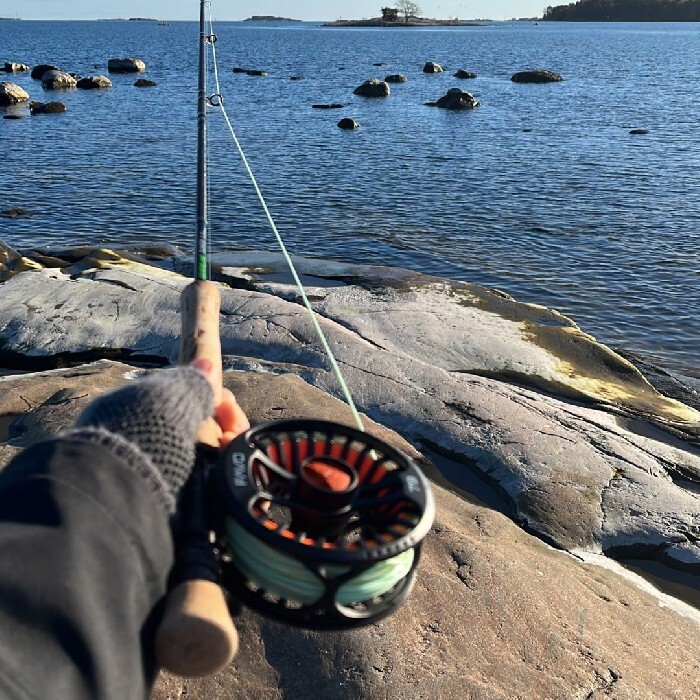 Meritaimenen perhokalastus